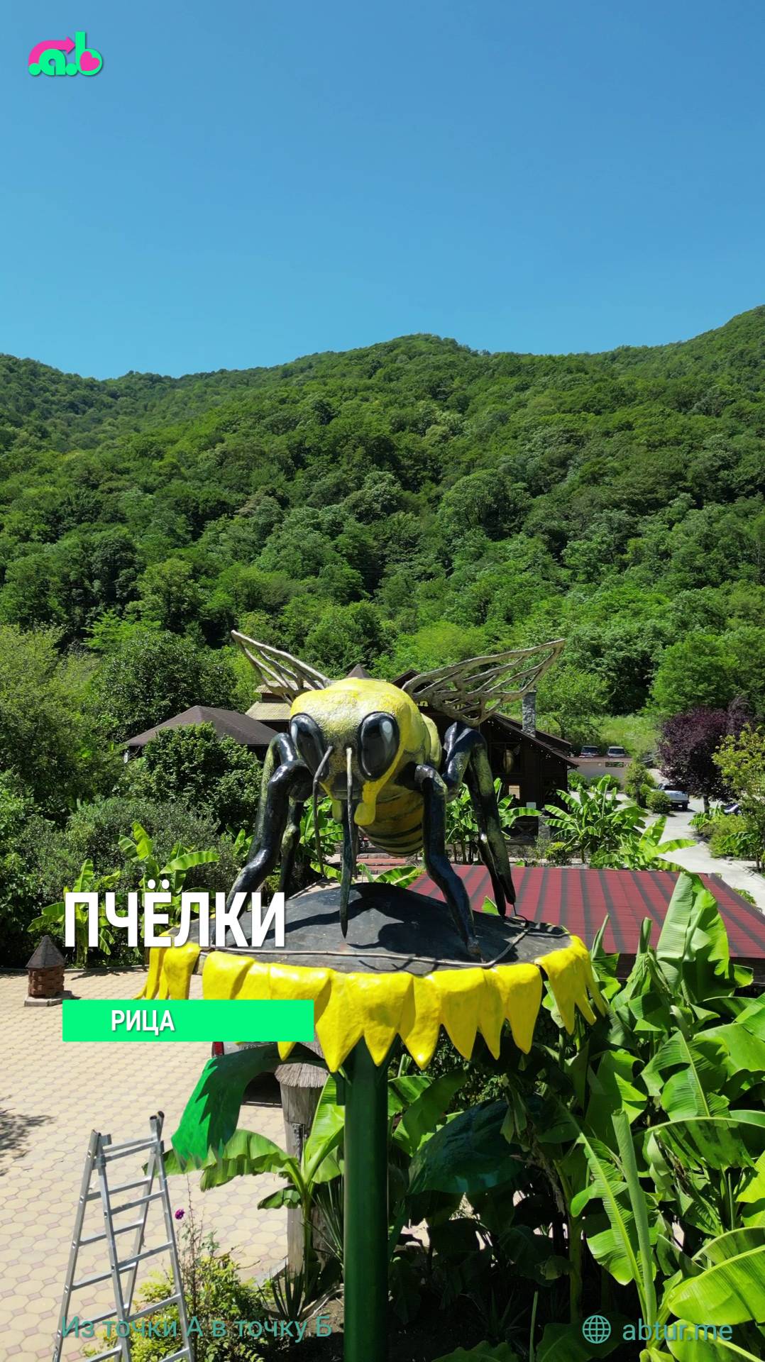 Медовый двор, пчелиное хозяйство. Дорога на Рицу, Абхазия.