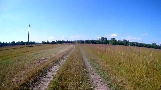 Поля России