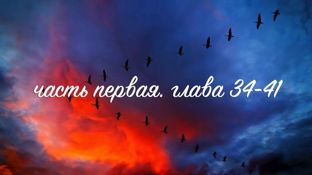 05.Птицы Небесные. Симеон Афонский.