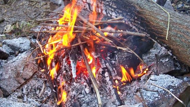 Регата на байдарках