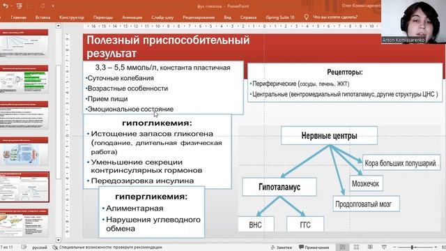 Функциональные системы, регуляция уровня глюкозы в крови