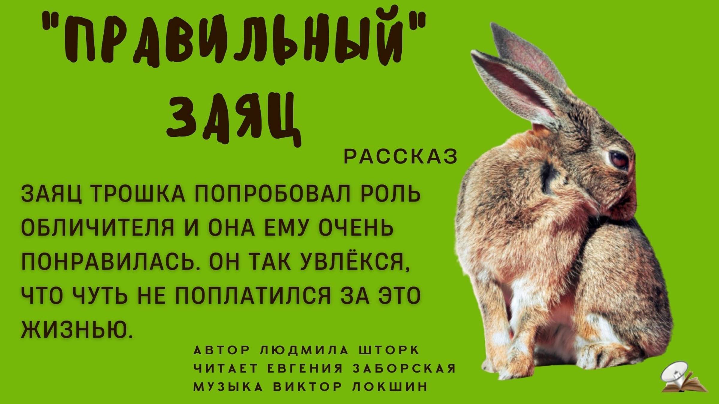 Правильный заяц