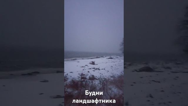 #ландшафтныйдизайн #строительство