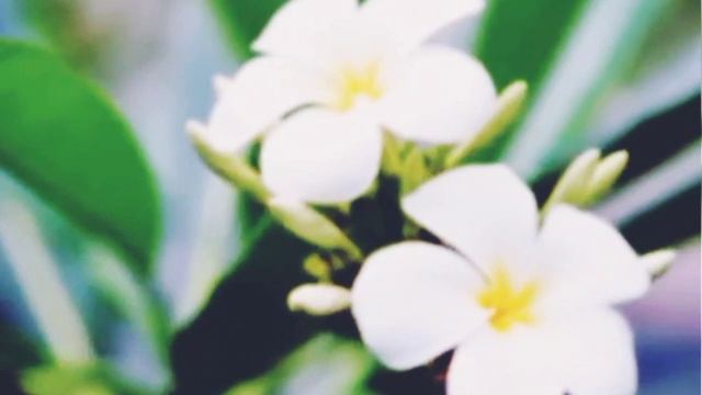 Волшебная медитация для женщин НАПОЛНЕНИЕ 2020