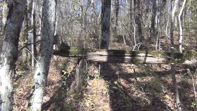 Поход выходного дня через пшадский хребет на водопад Аляпкин.