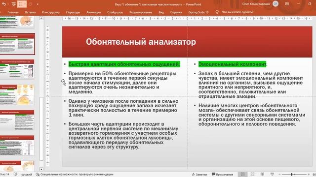 Вкусовой, обонятельный и зрительный анализаторы