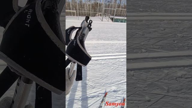Ответы на вопросы по лыжным перчаткам