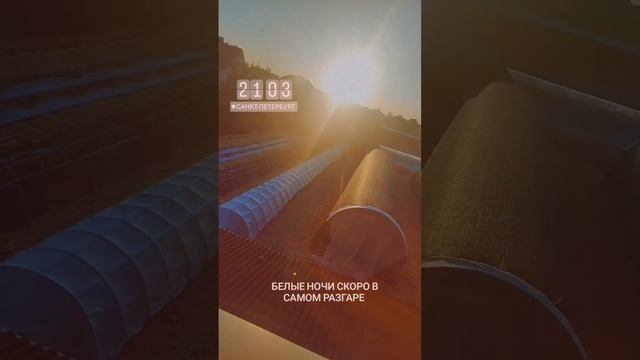 закат в питомнике растений