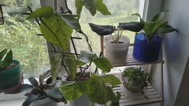 Возвращаюсь на канал, к съёмкам после смерти мамы..... 💔💔💔 Архивное видео с покупками.... (1)