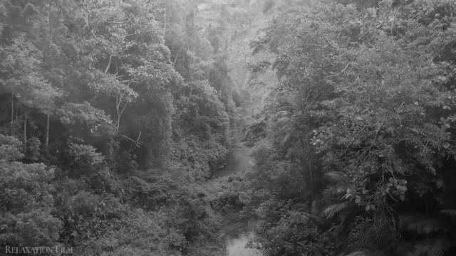 14. 14.  Зинаида Миркина.  Снежная королева.