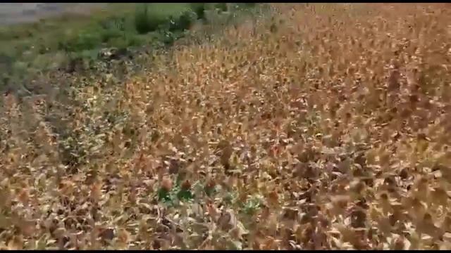 Знакомство с агрофирмой под Алматы