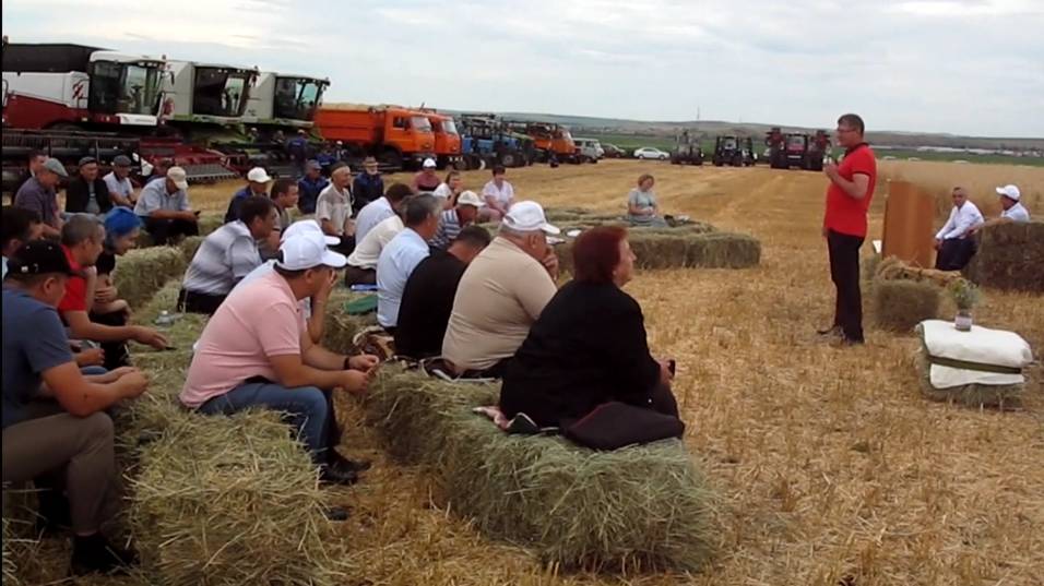 День поля в СПК имени Кирова Куюргазинского района РБ. Рекомендации по земледелию.