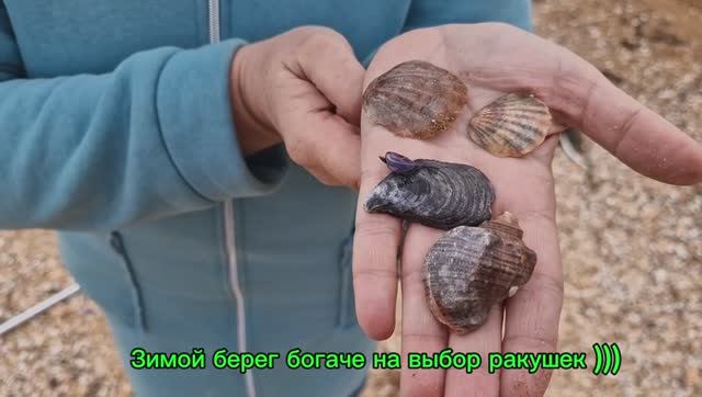 Декабрьский_день_в_Феодосии.mp4