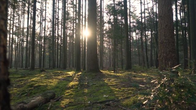 'Volkslied' 'Русская народная сказка' 'Колобок'