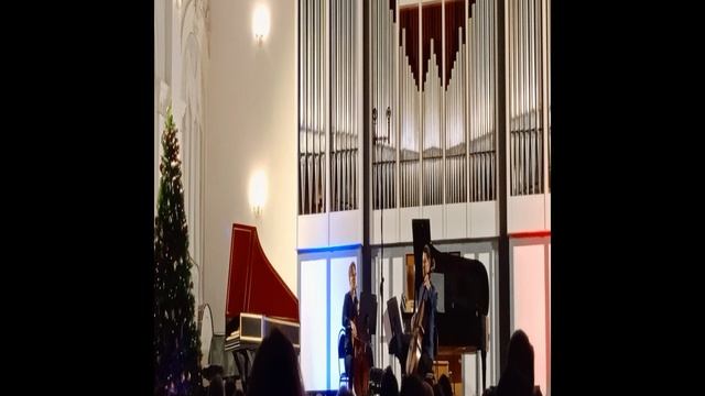 шикарные струны