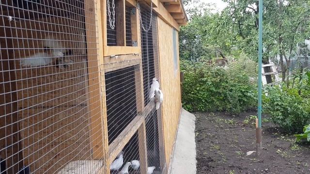 20.06.18. 6.00 Считаем убытки.