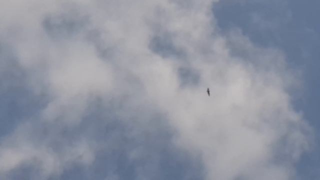 01.07.18. Дубль два летать не хотим.