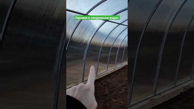 теплицы для черенкования