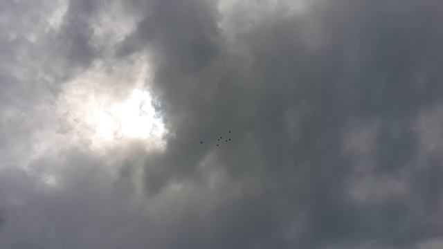 21.05.18. Без комментариев.