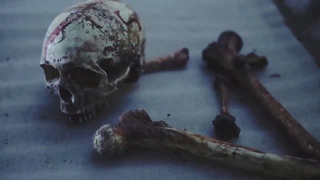 Квест "Логово каннибалов"