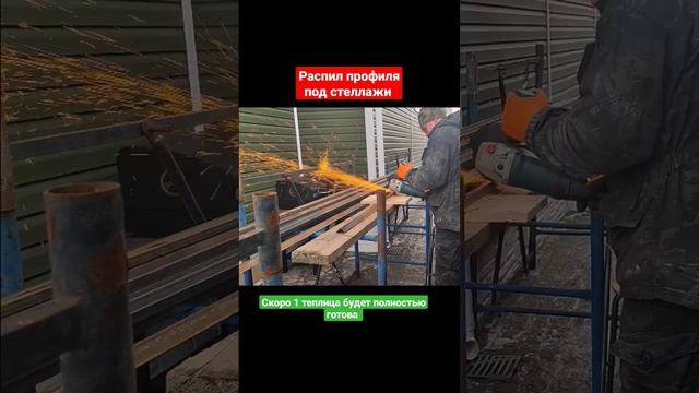 17 февраля 2023 г.