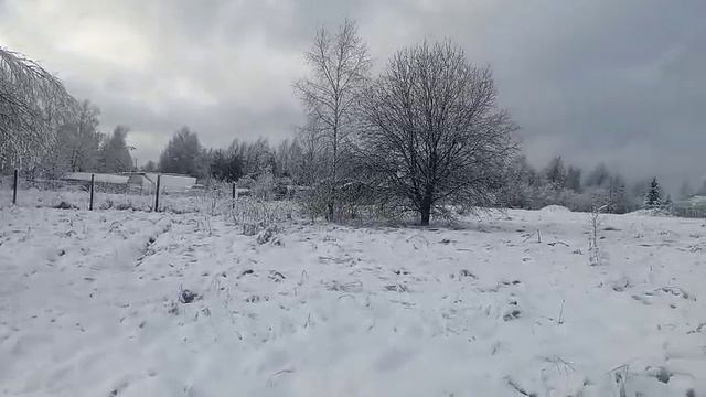 д.Никитино 50:18:0050115:2912