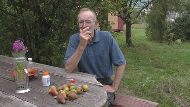 Как не бояться осиных укусов