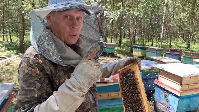 Проверяем приём плодных маток на первом точке