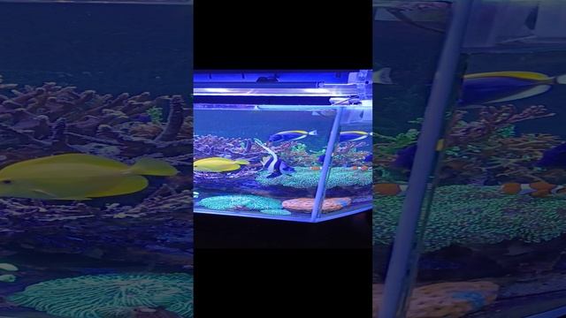 Торпеда 2 2024.01.30