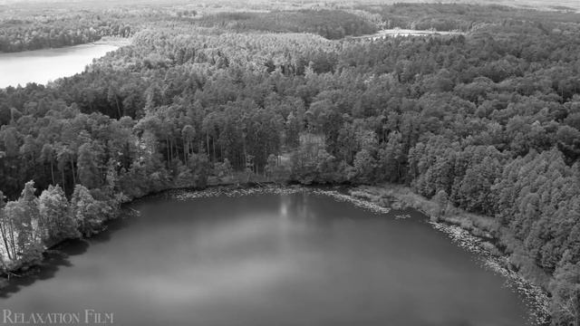 07. 07.  Зинаида Миркина.  Путь к Дому.