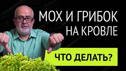 Мох, грибок и лишайник на кровле_ Как не допустить_ Что делать при появлении_