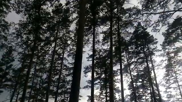 База отдыха "Кристалл" озеро Тургояк