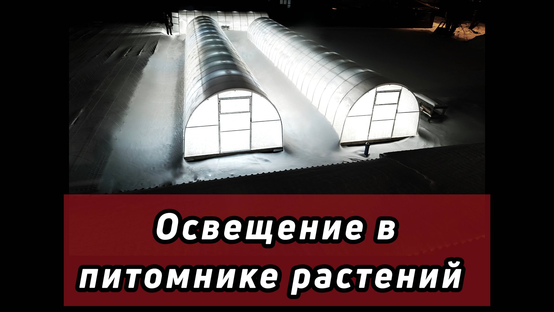 Как мы организовали освещение в теплице|НЕ досветка.