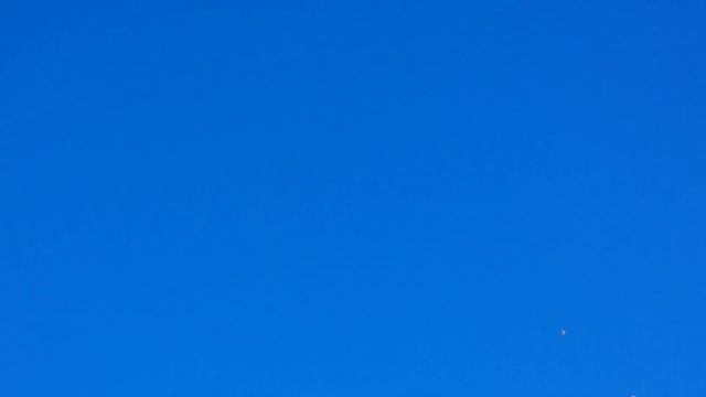 Судный день- Сапсан и Голуби