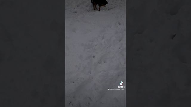 НОВОГОДНЕЕ НАСТРОЕНИЕ!