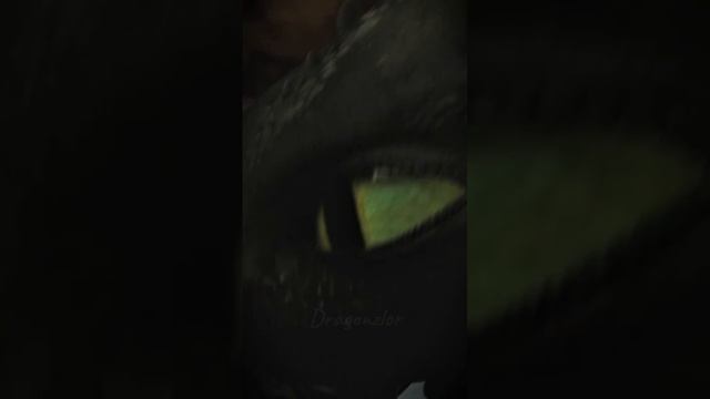 _ГРУСТНЫЙ МОМЕНТ КАК ПРИРУЧИТЬ ДРАКОНА 2 #animation #edit