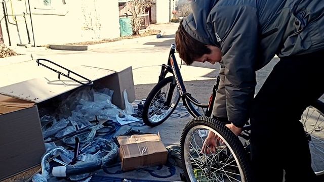 проект ворон   начало