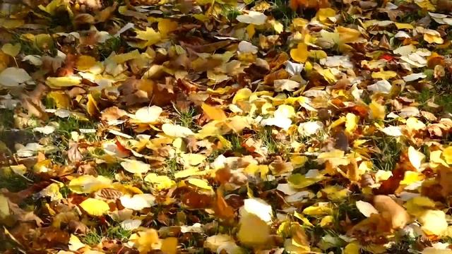 07. 07.  Зинаида Миркина.  Избранное.