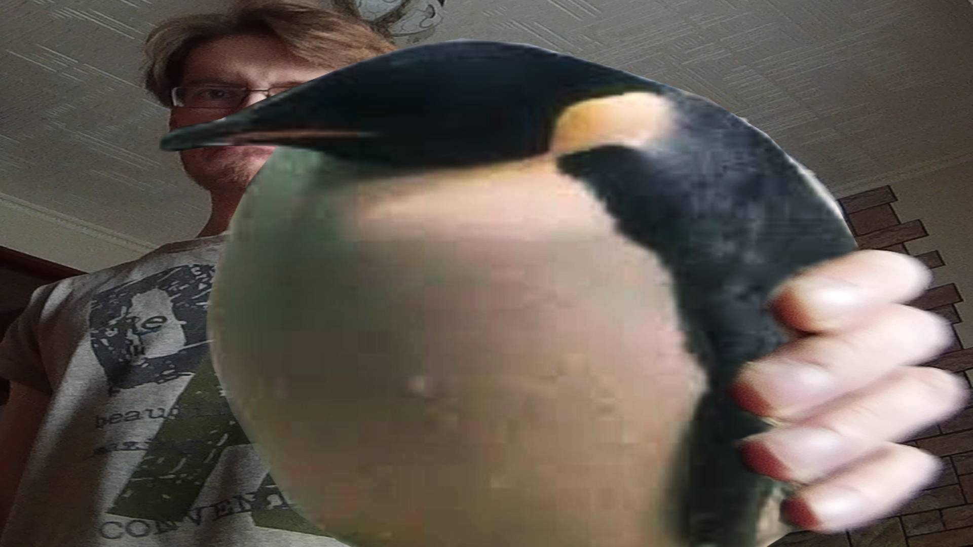 Я на линуксе...