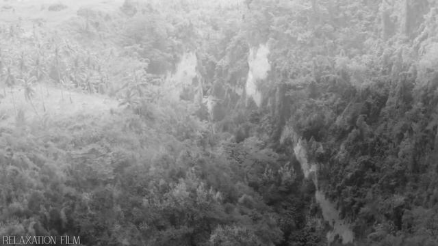 01. 01.  Зинаида Миркина.  Белый Заяц.