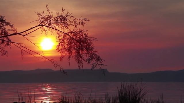 'Древлегорск' 'Оять' 'Радость' 'Лето (переход к)'