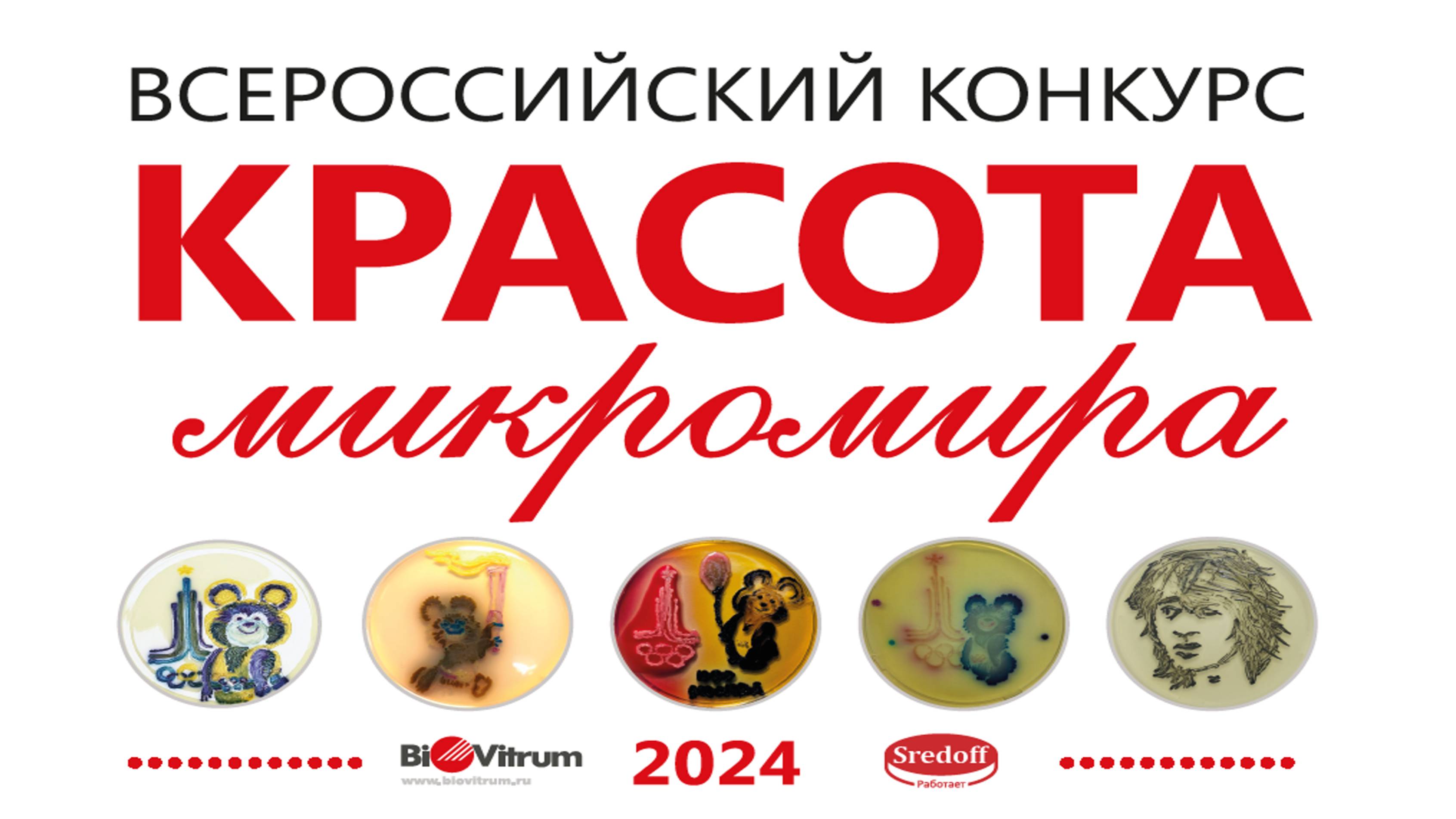 Финал Всероссийского конкурса «Красота микромира 2024»