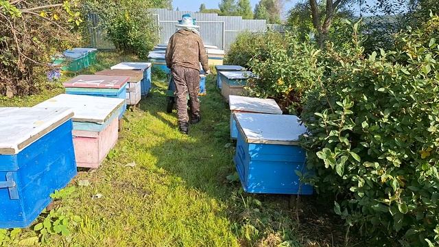 Вывозим пчелосемьи с точков домой