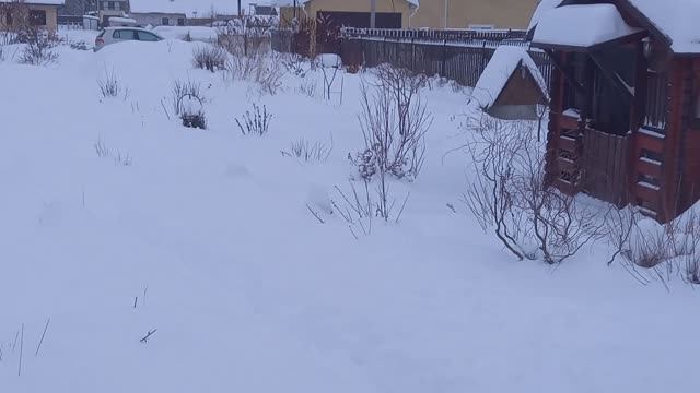 #8 Декабрьский приезд на дачу. 8 сезон