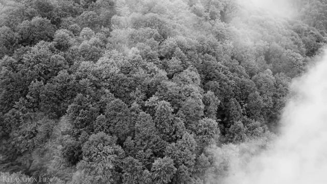 19. 19.  Зинаида Миркина. Ангел