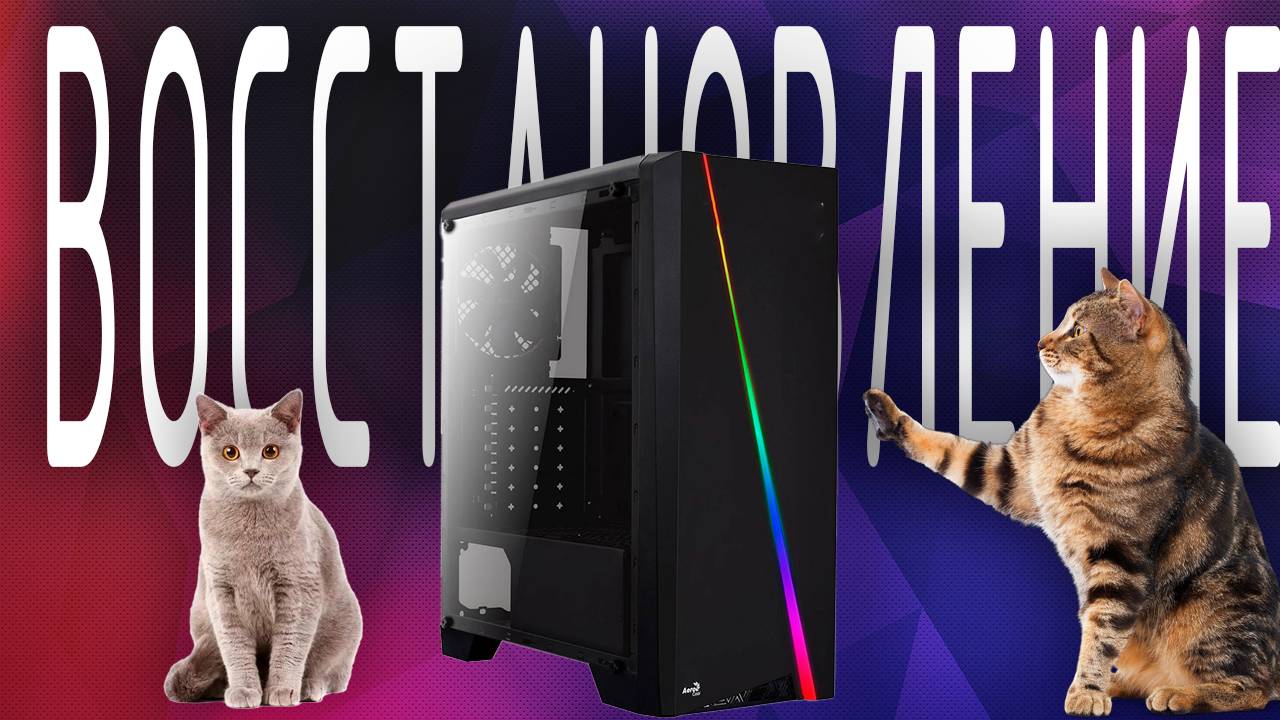 ВОССТАНОВЛЕНИЕ ПК после ДЕЯТЕЛЬНОСТИ КОШЕК