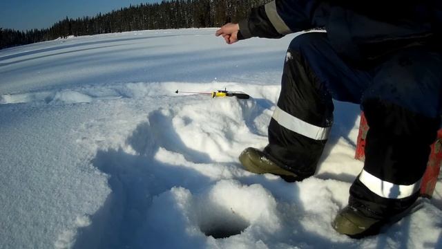 ловля окуня зимой на озере | рыбалка 2021