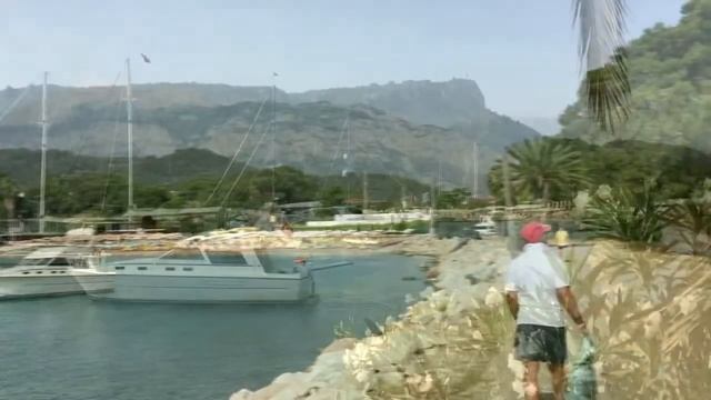 Набережная Кемера. Парк "Лунный свет". Дикие кошки. Ресторан "DAKAPO" с живой музыкой