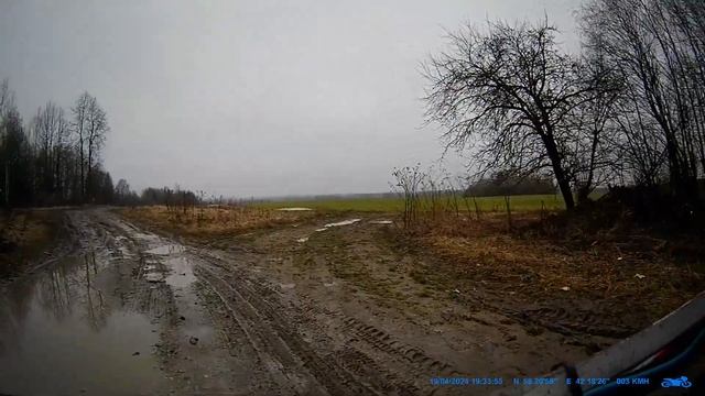 ворон и кот