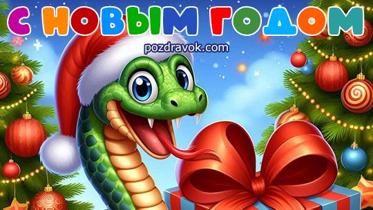 С Новым 2025 годом!!! Поздравляю!!!